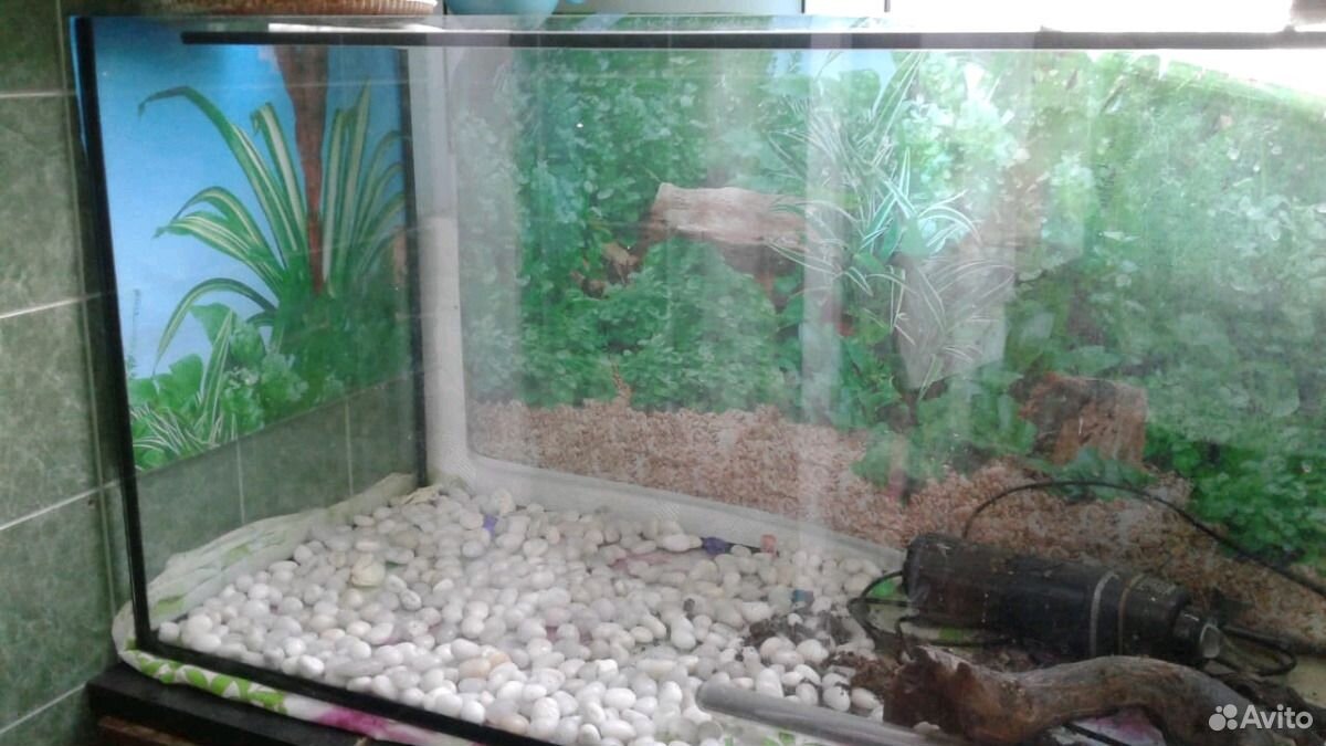 Террариум Аквариум