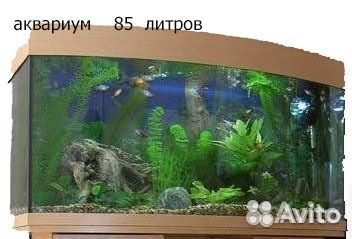 Аквариум 85л телевизор