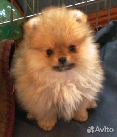 Крошечная девочка