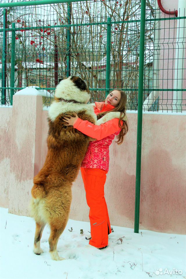 Для Вязки предлагается кабель сао