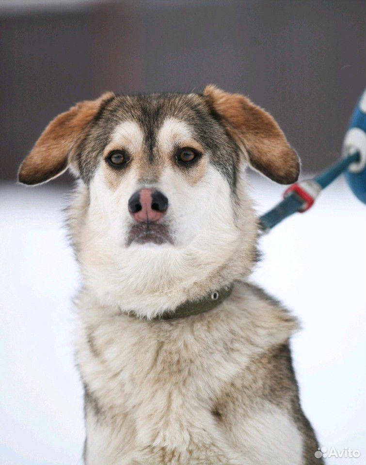 Машенька смешной носик