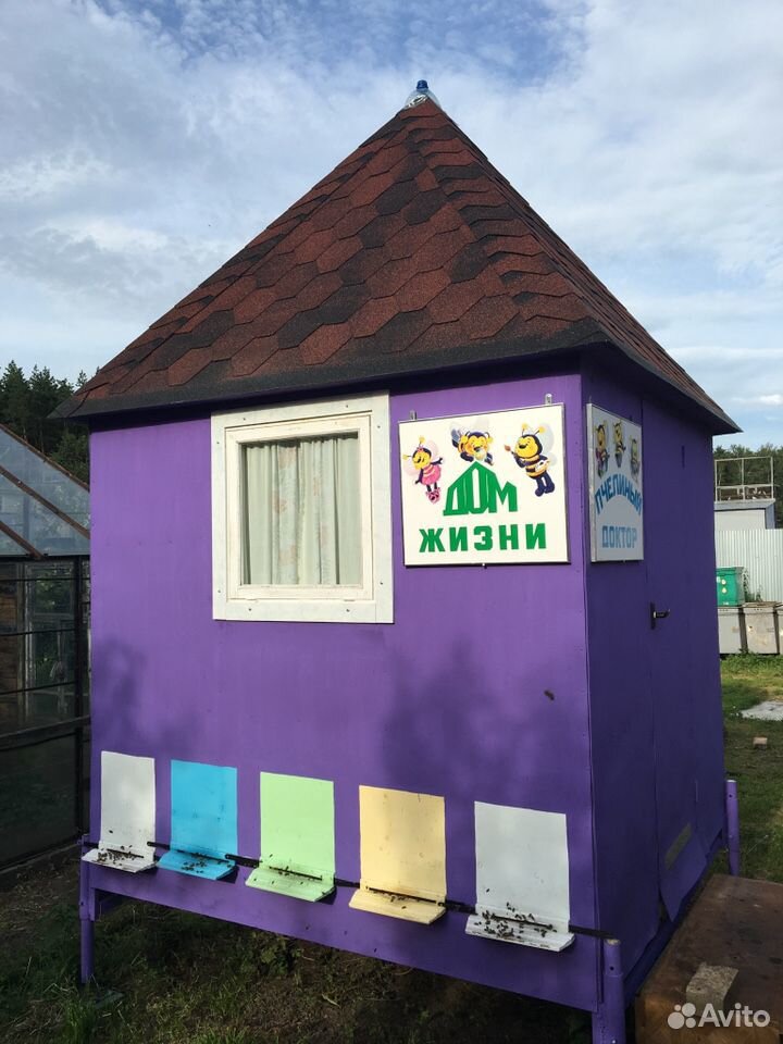 Сон на пчелах