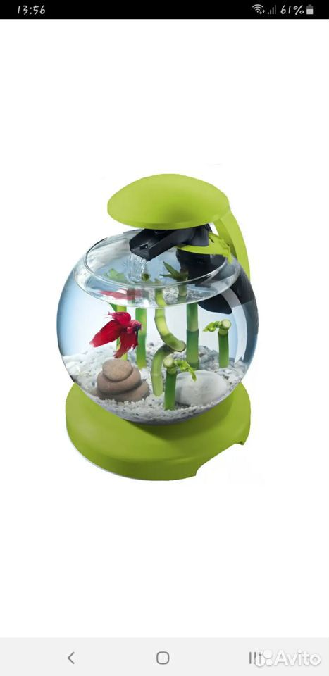Аквариум 6л+2 неончика