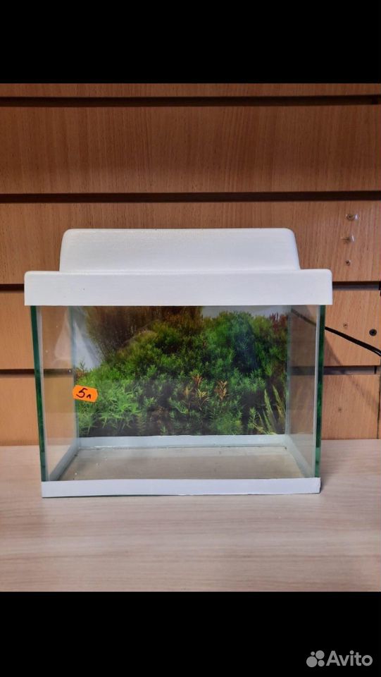Аквариум