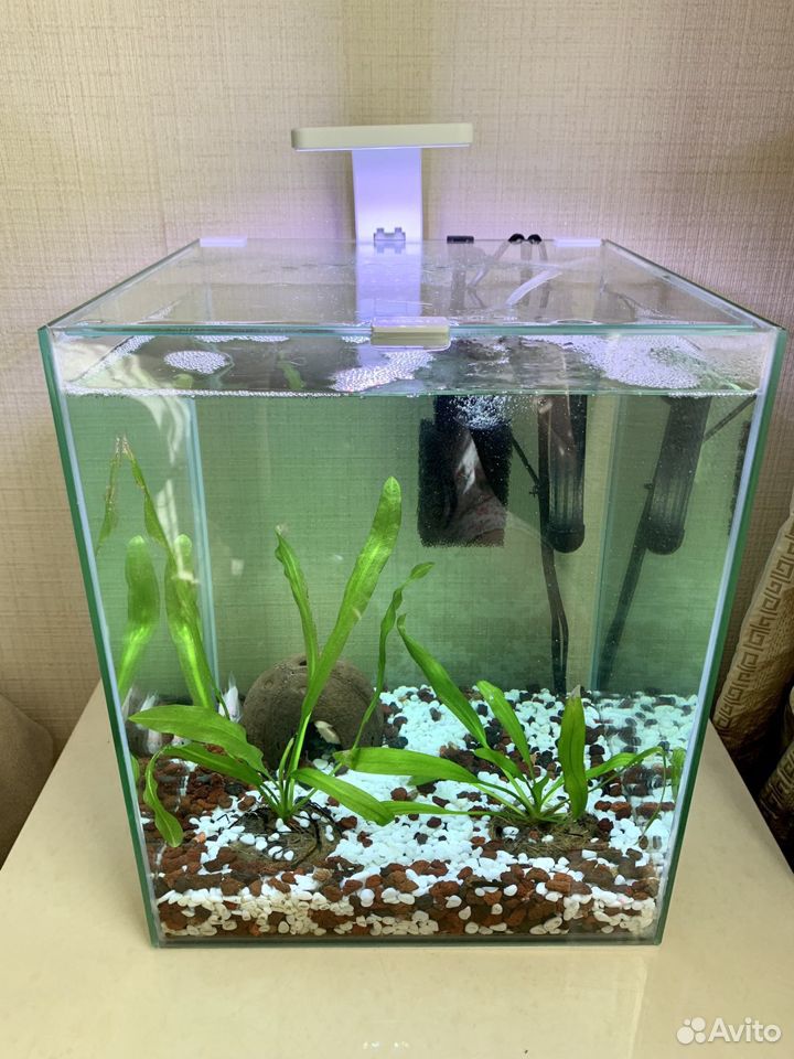 Аквариум куб 30 литров с рыбками