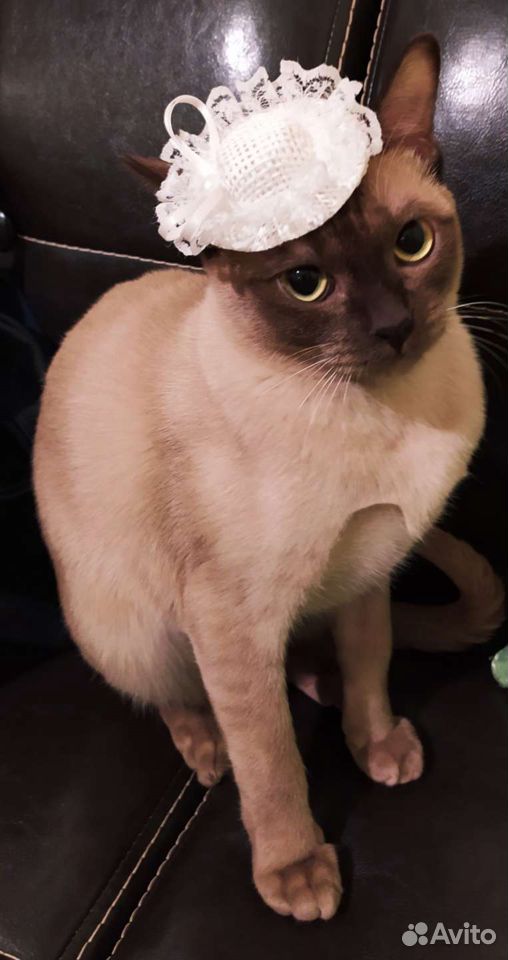 Бурма вязка