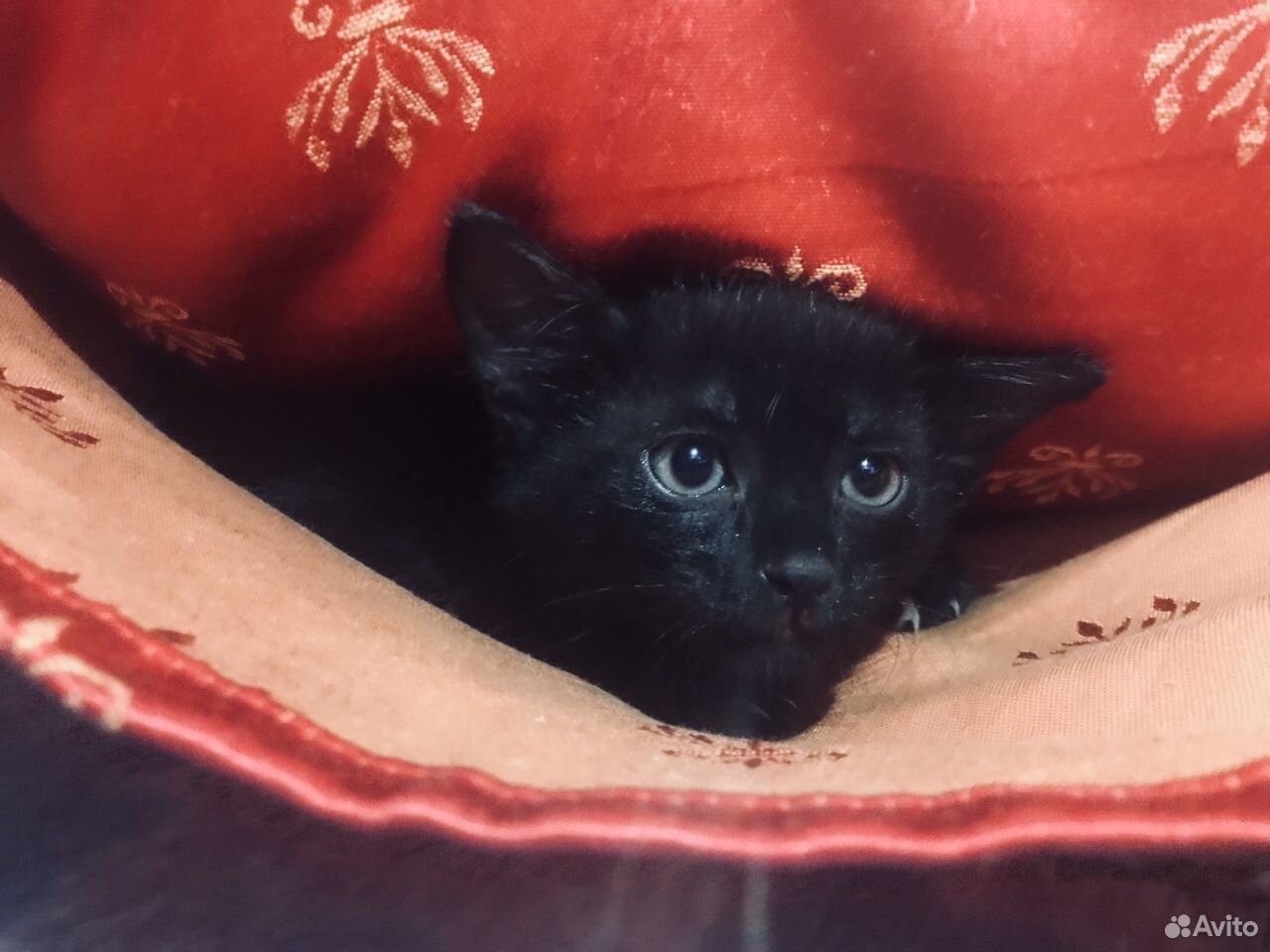 Чёрная кошечка за благодарность