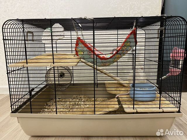 Крыса с клеткой