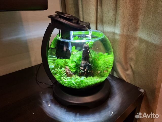 Аквариум Tetra Cascade Globe под ключ