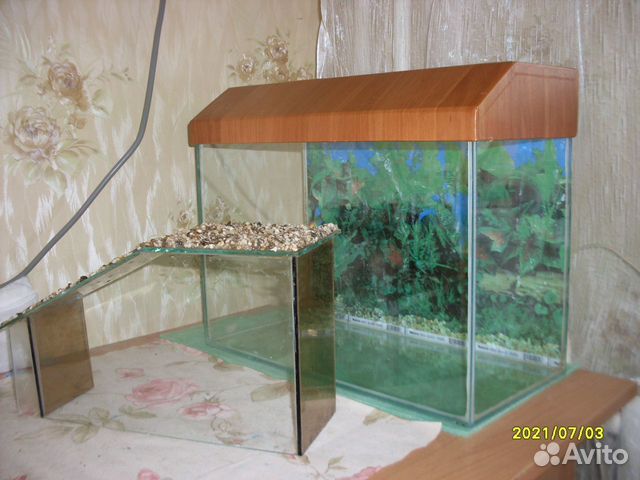 Аквариумы бу