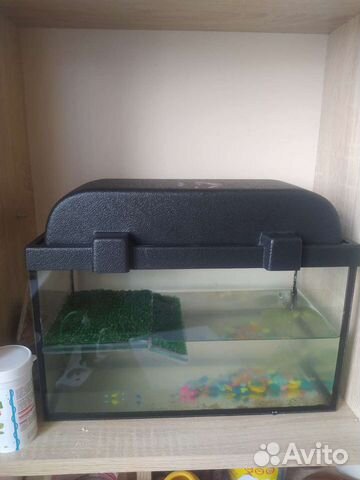 Аквариум с черепахами