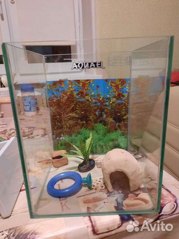 Аквариум