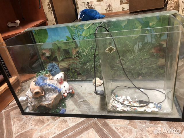 Аквариум
