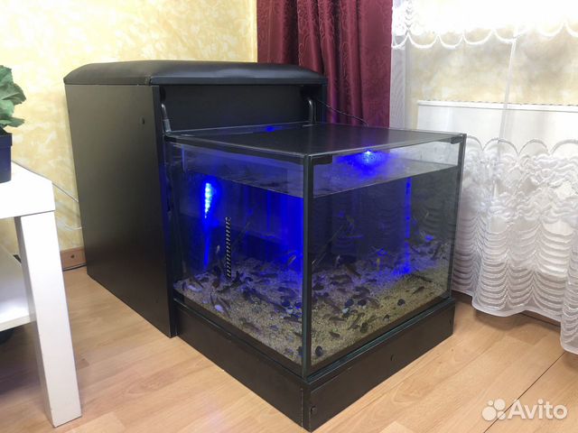 Аквариум с тумбой пилинг Гарра Руфа