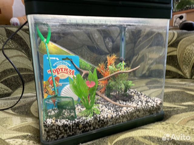 Аквариум 16 литров