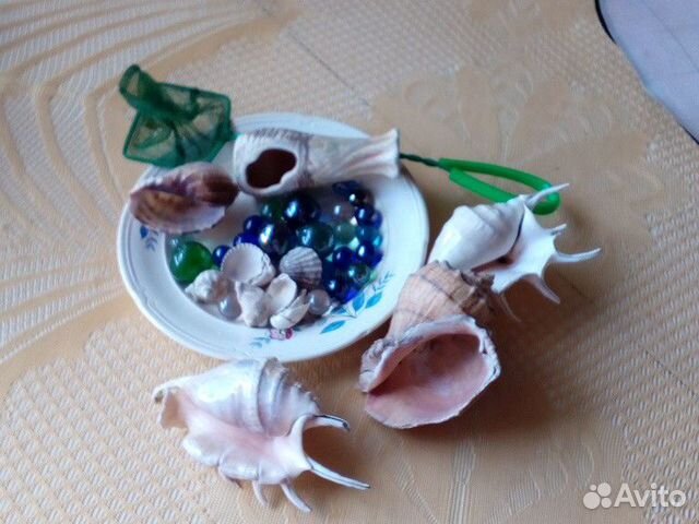 Для аквариума ракушки