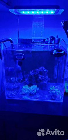 Продам аквариум