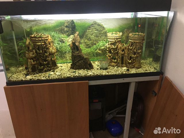 Аквариум 200 литров с тумбой, оборудованием и рыбк