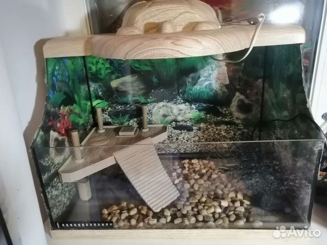Аквариум для черепах бу