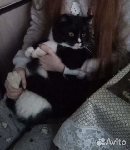 Красавчик Мерсидес