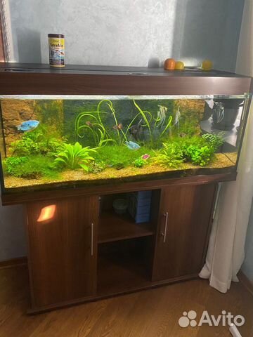 Аквариум 250 литров с тумбой