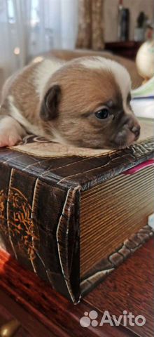 Малыш один на миллион