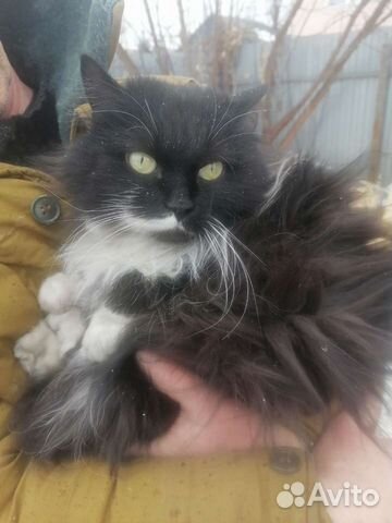 Помогаю информационно Умерла бабушка, а любимого к