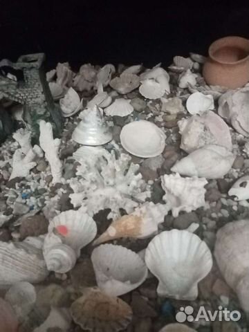 Аквариум винтажеый на 250 литров