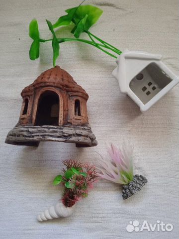 Аквариум и все к нему