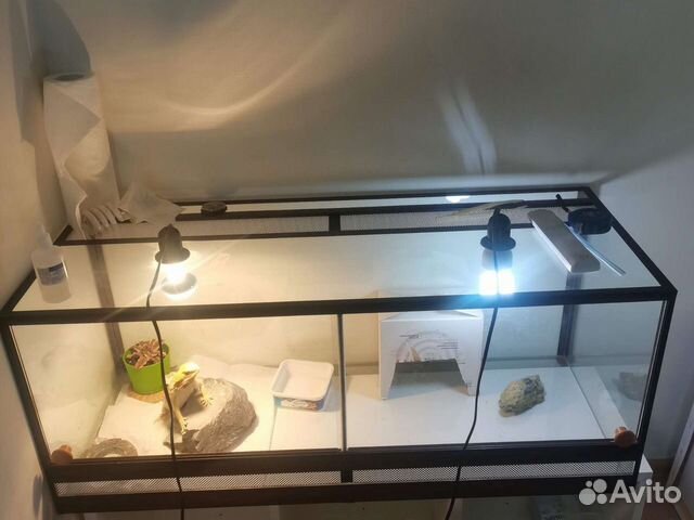Террариум большой