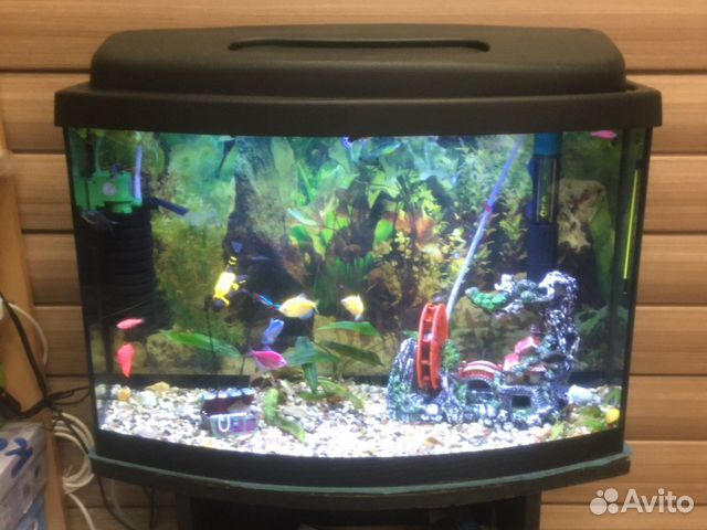 Аквариум с рыбками и тумбой 60 литров