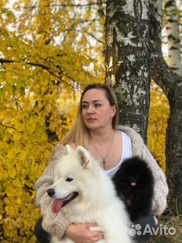 Щенки от заводчика ветеринара