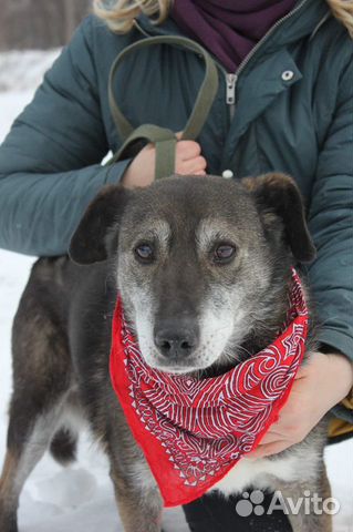 Плюша скоро умрет