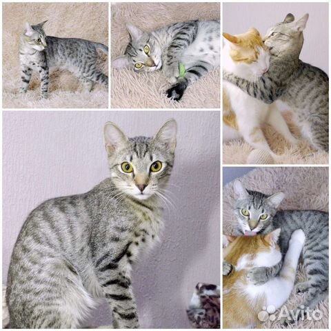 Мамочка, я очень тебя жду