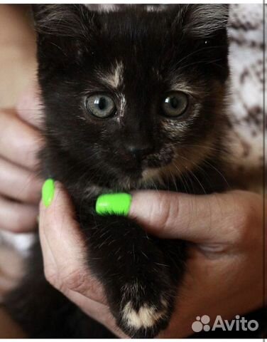 Привет :) Я Поночка, мне 2 месяца