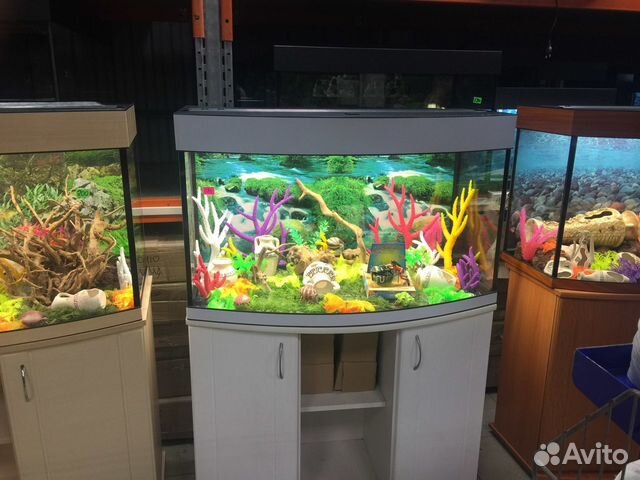 Панорамный 150л (91х40х56см) +тумба. Производство