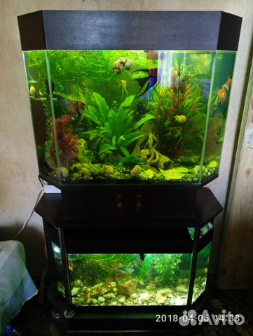 Аквариум два в одном 210 литров