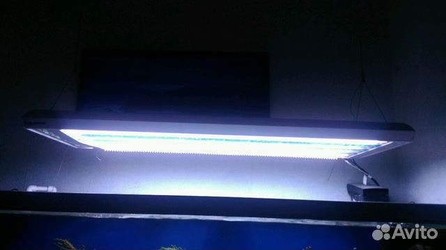 Морской аквариум