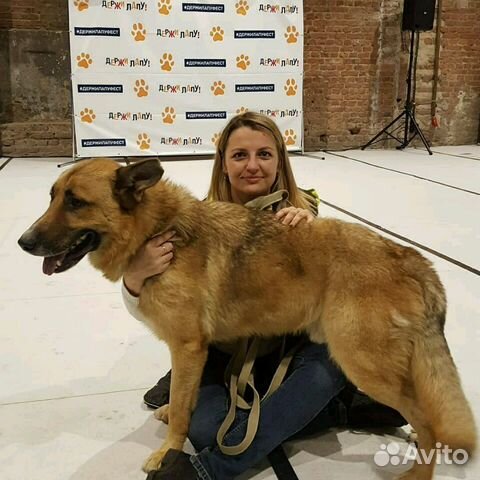 Метис- Малинуа