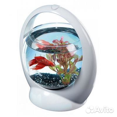 Аквариум-шар Tetra Ring белый с освещением + грунт