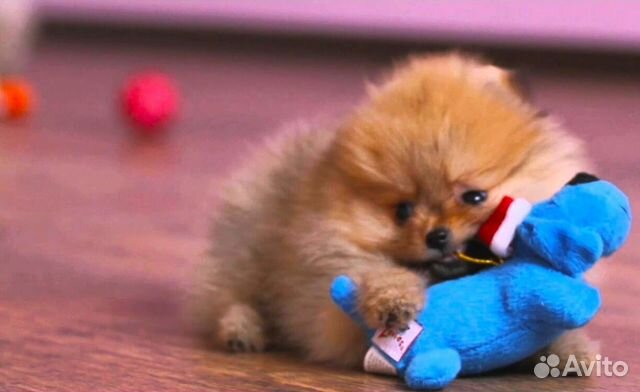 Супер миники ждут именно вас