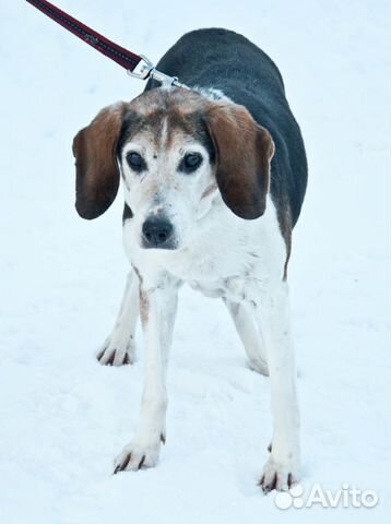 Добрая возрастная девочка ищет свою семью
