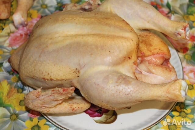 Продаются куры бройлеры, тушки