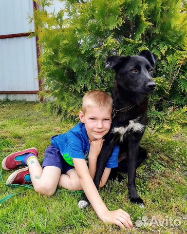 Красавица Грета ищет семью