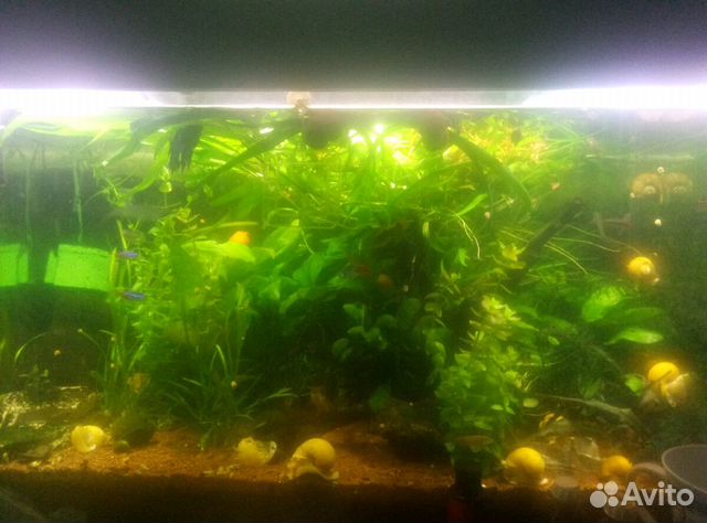 Аквариум 140 л