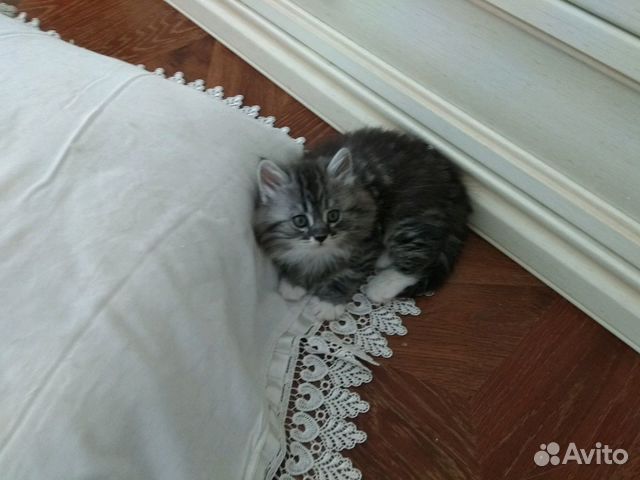 Сказочный лесной малыш