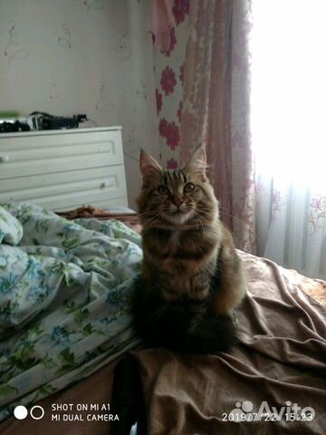 Майн кун девочка пол года ей