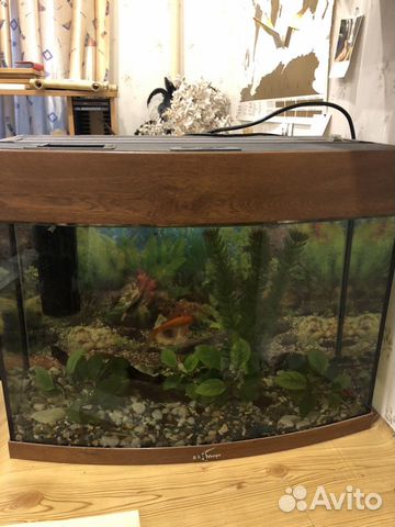 Акввриум с подсветкой и фильтром 60 литров панорам