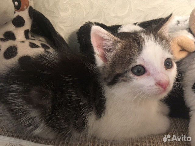 В самые добрые ручки