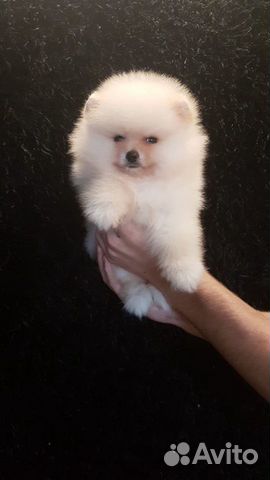 Мимишный малыш